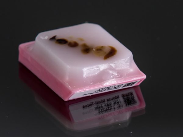 Histology Services – Acepix Biosciences